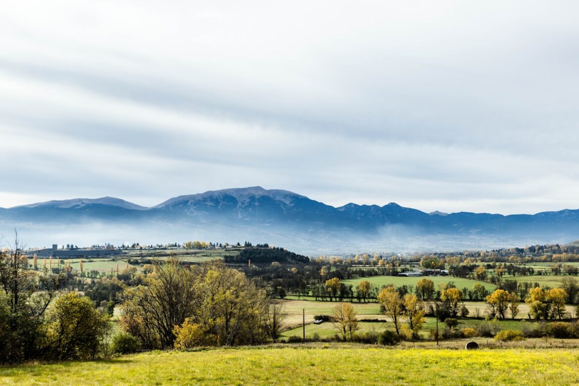Home - Gorj Online