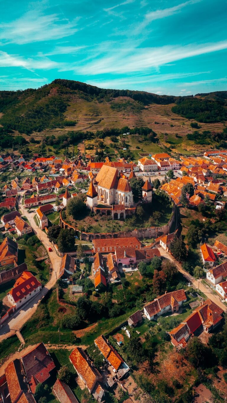 Home - Gorj Online