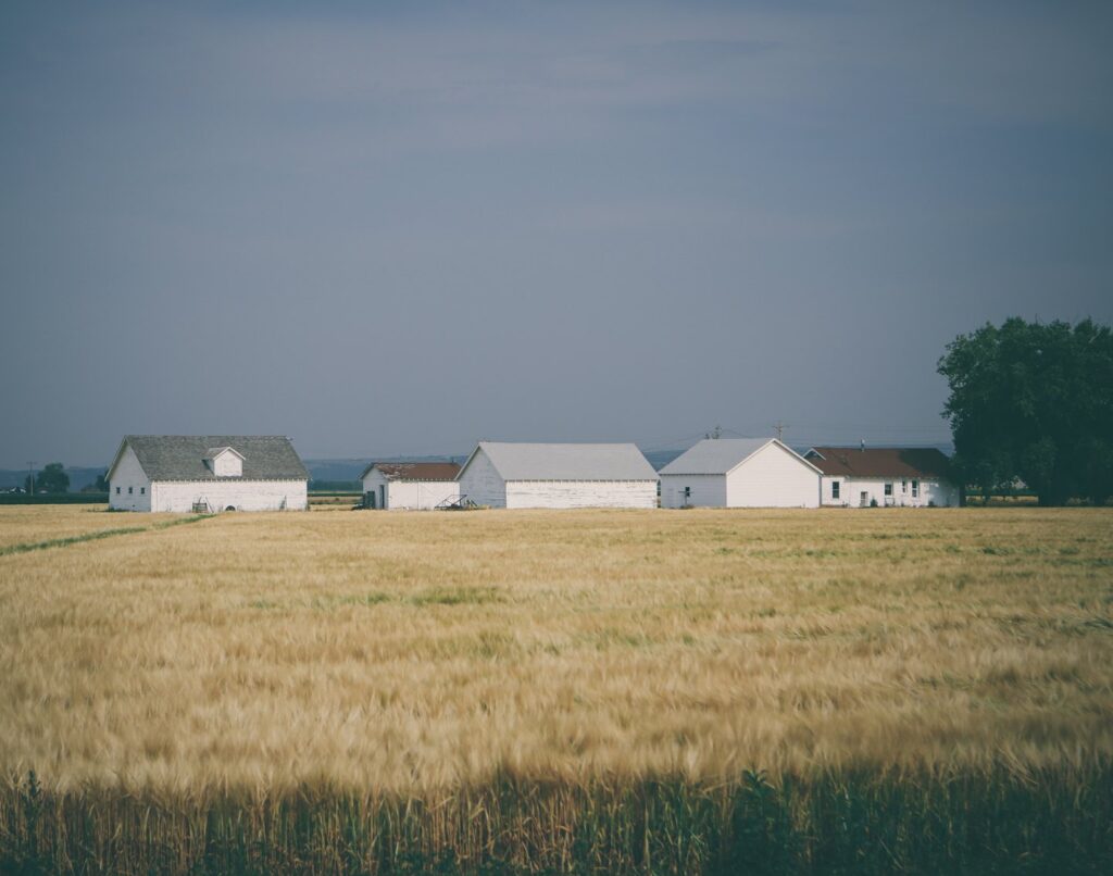 Home - Gorj Online