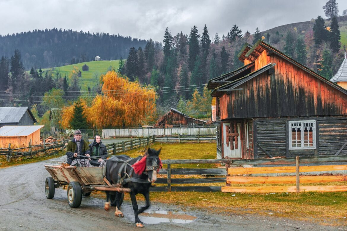 Home - Gorj Online